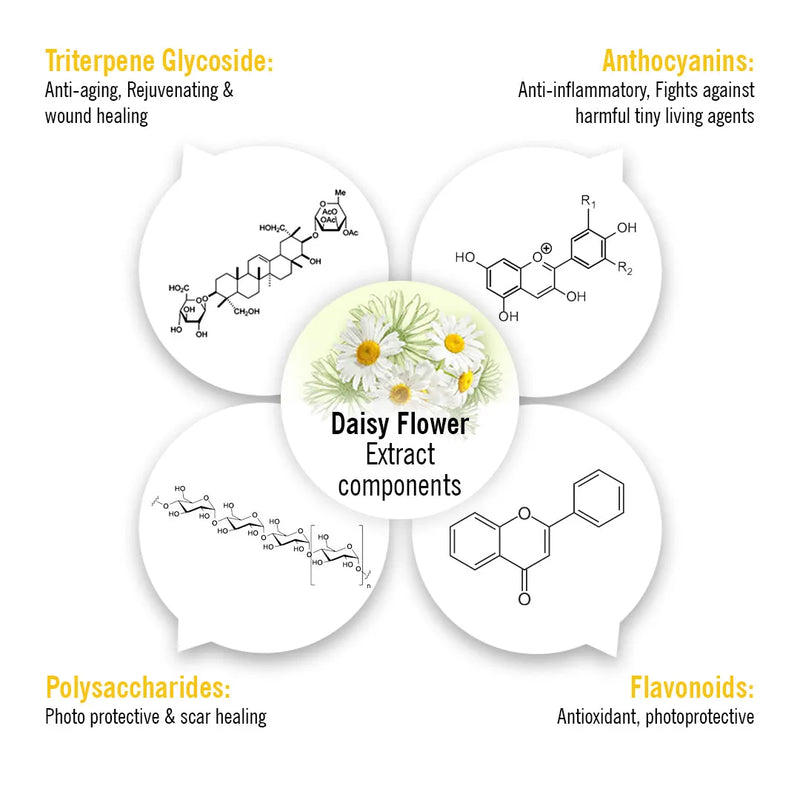 Skin Lightening Face Serum, Daisy Flower + Alpha Arbutin + Mulberry Ro ...